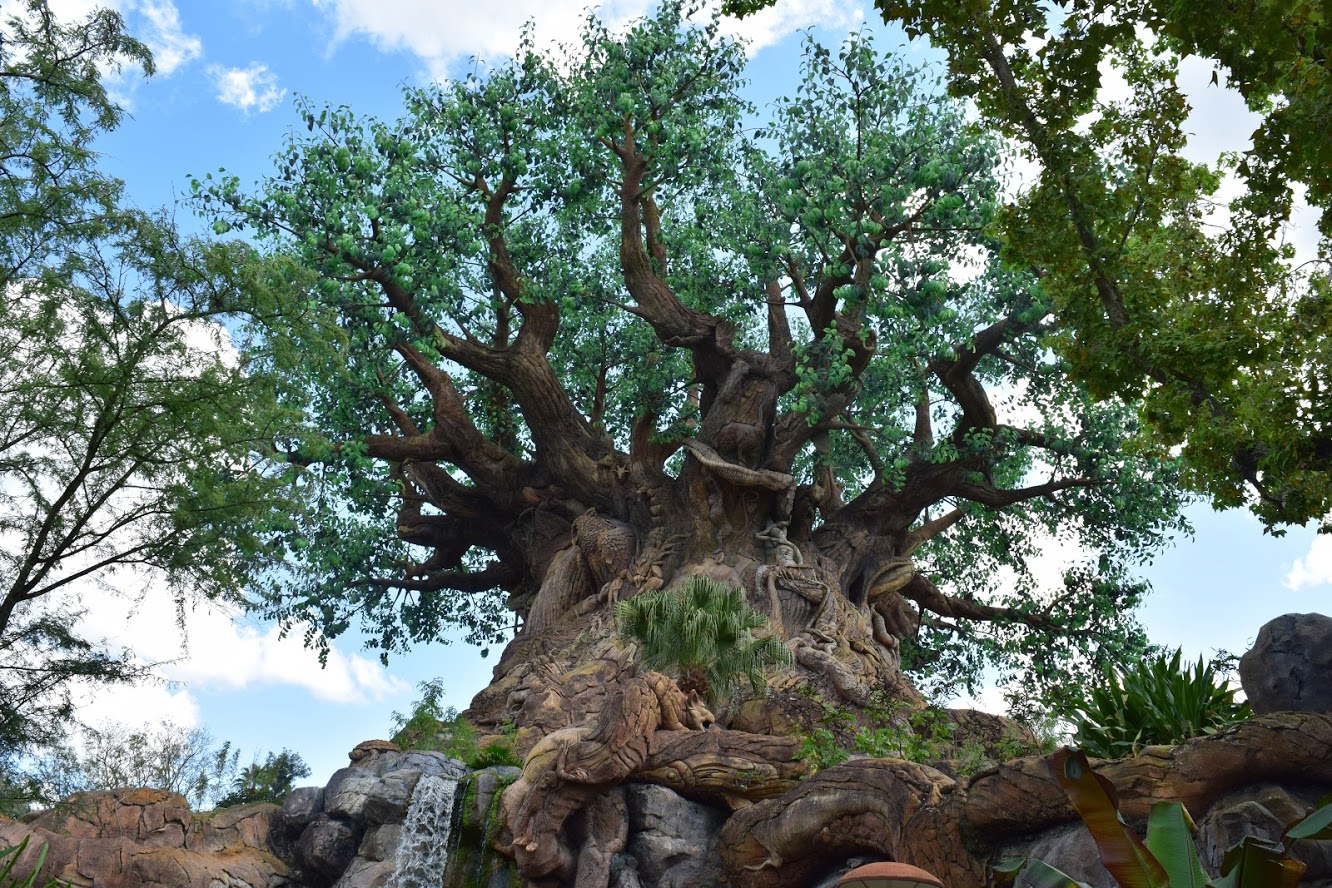 Tree of Life paths | The Mouselets